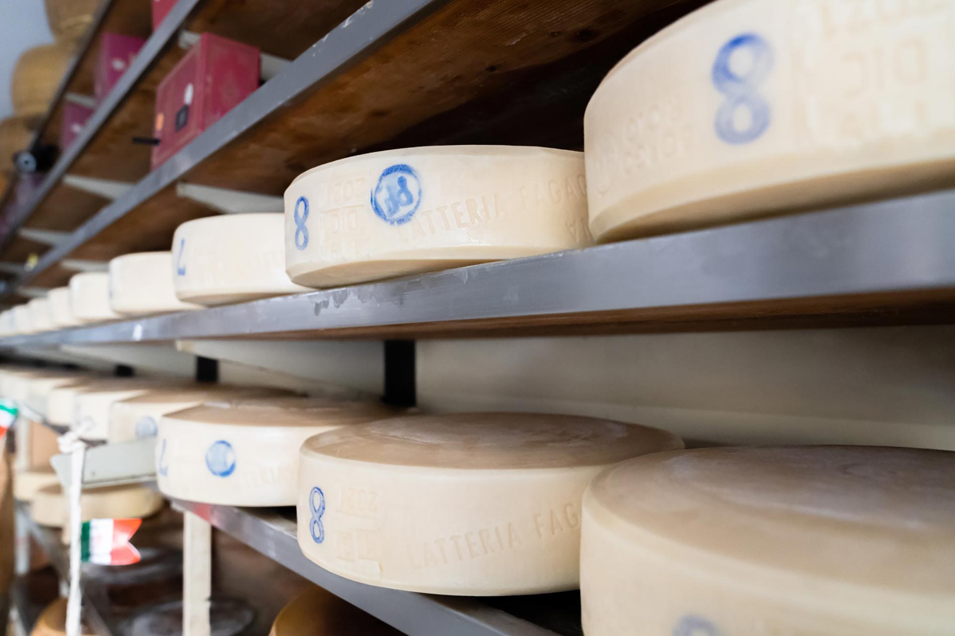 Molkerei Fagagna Borgo Riolo Fresco - Finati & Petrin Formaggi